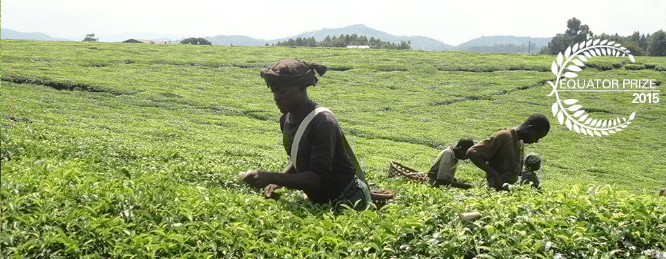 DRC Green Group Among 2015 Winners of Equator Prize