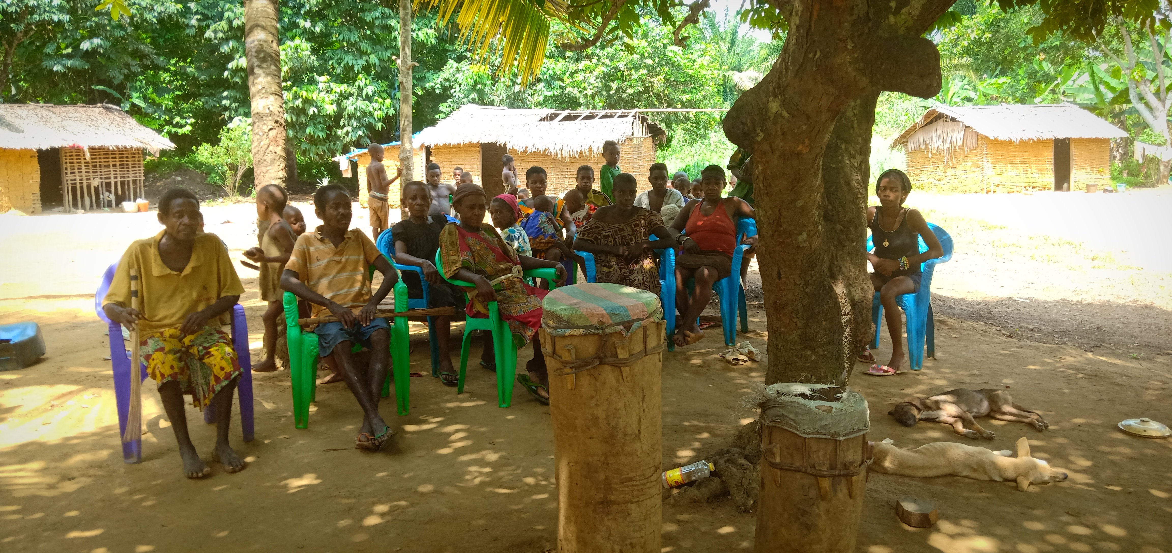 Land tenure: The legal battles of the indigenous Bagyeli in Cameroon